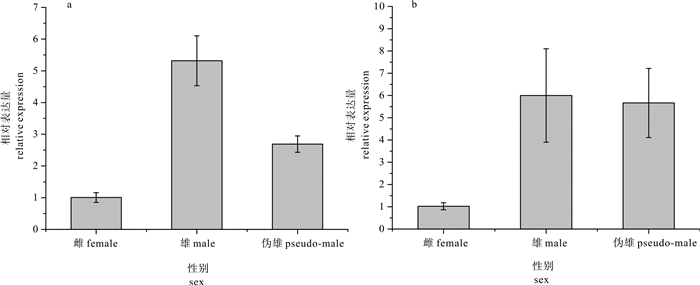 大黄鱼 gsdf 和 amh 基因的克隆及表达分析