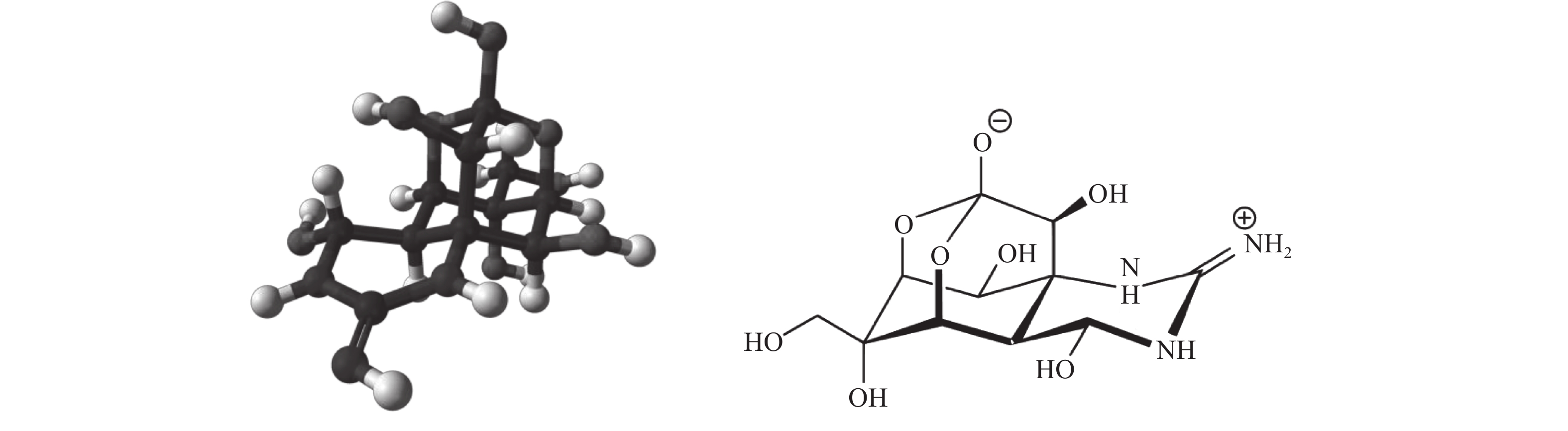 Research progress in detection and preparation methods for tetrodotoxin
