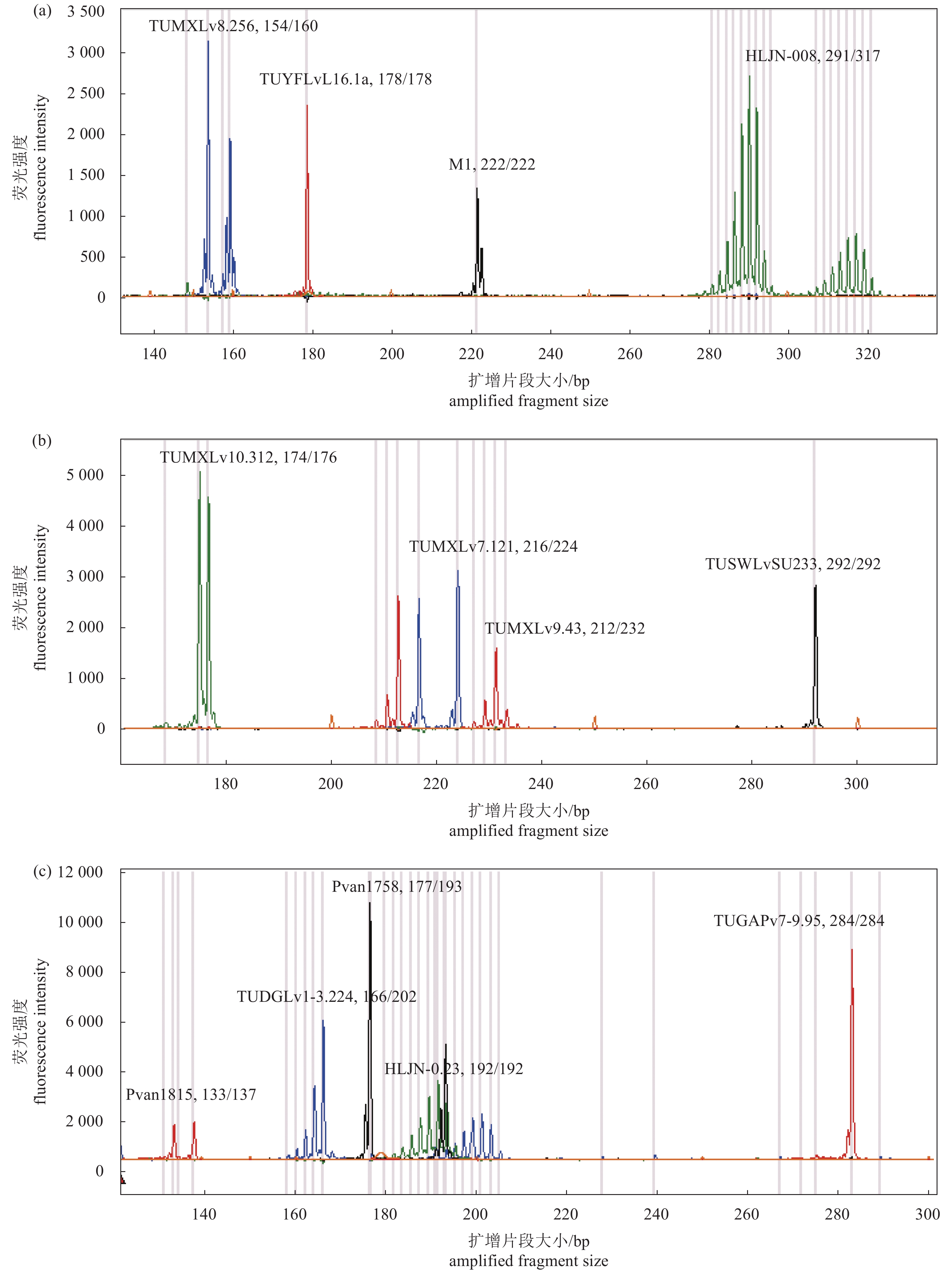 Genetic diversity analysis of first filial generation of seven ...