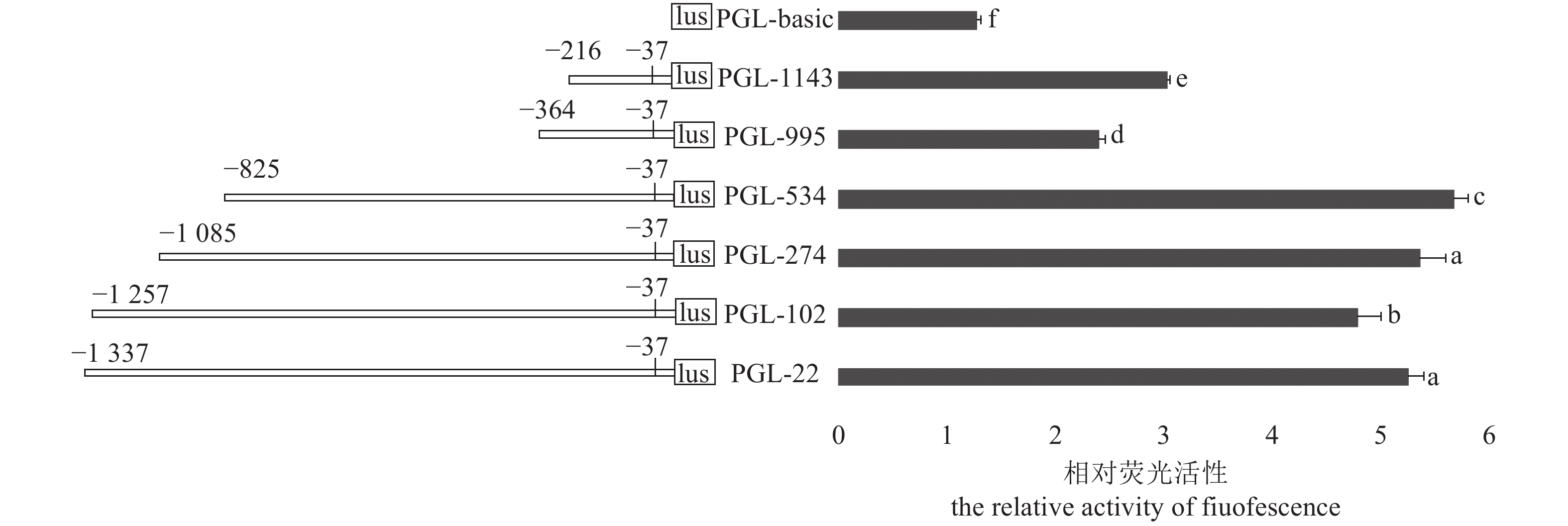 华贵栉孔扇贝 MSTN 基因启动子的功能分析