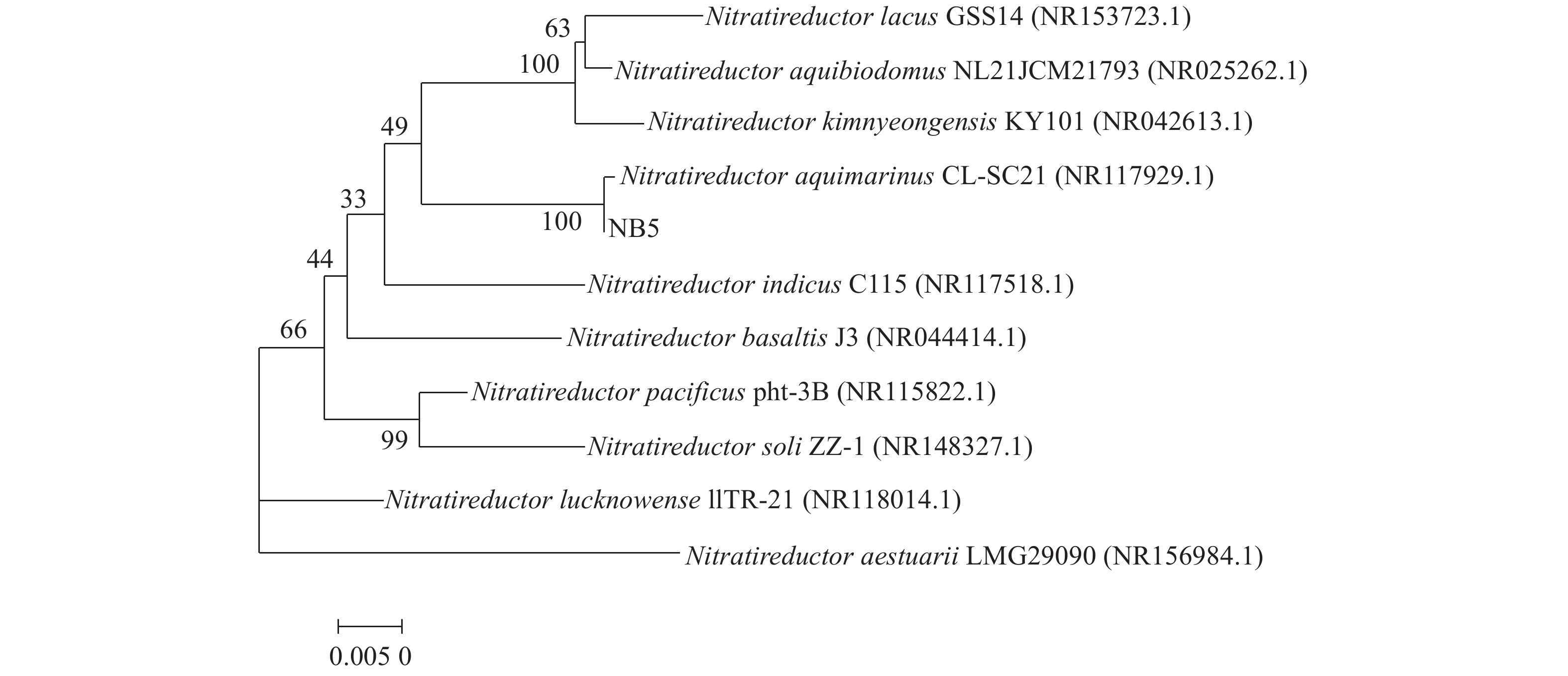 Removal effect of strain NB5 on ammonia nitrogen under different ...
