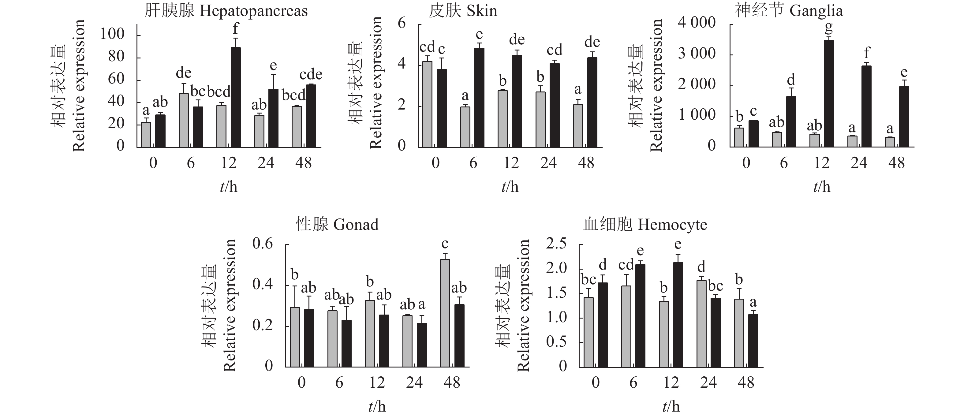 Cloning and expression analysis of FMRFamide gene in Onchidium reevesii ...