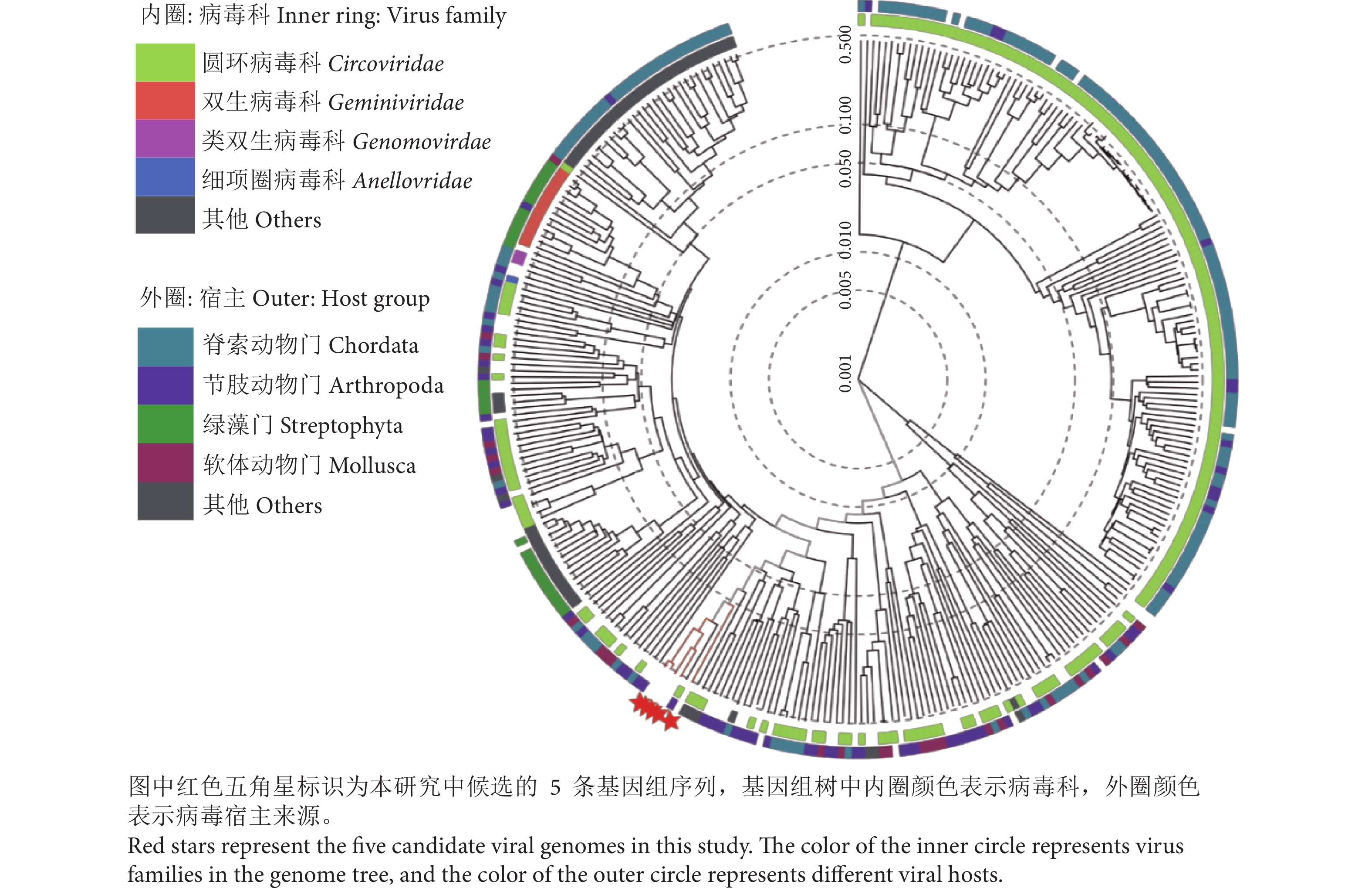 Identification of a novel oyster-related circovirus genome compa-rative ...